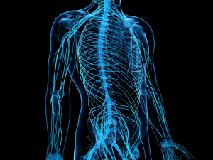 Metameri: si possono davvero trattare? - FisioScience Medical