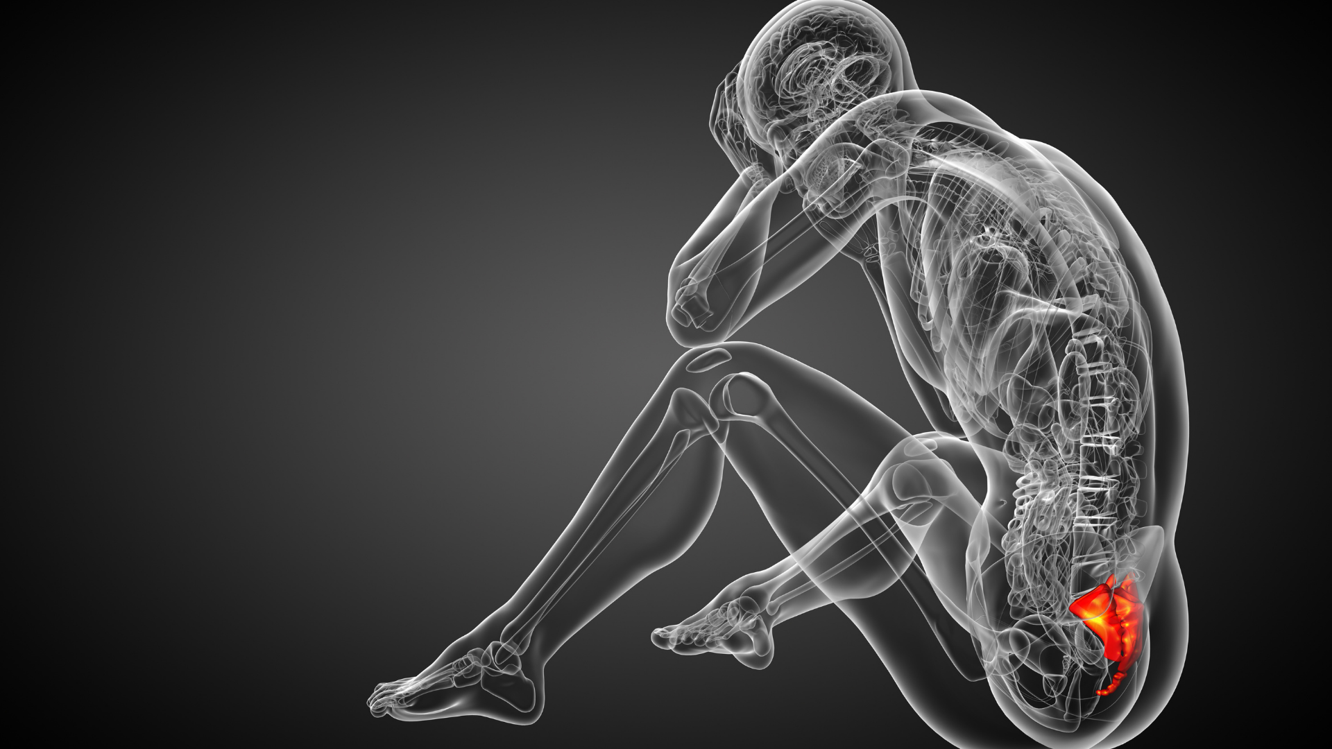 Frattura coccige: trattamento e tempi di recupero - FisioScience Medical